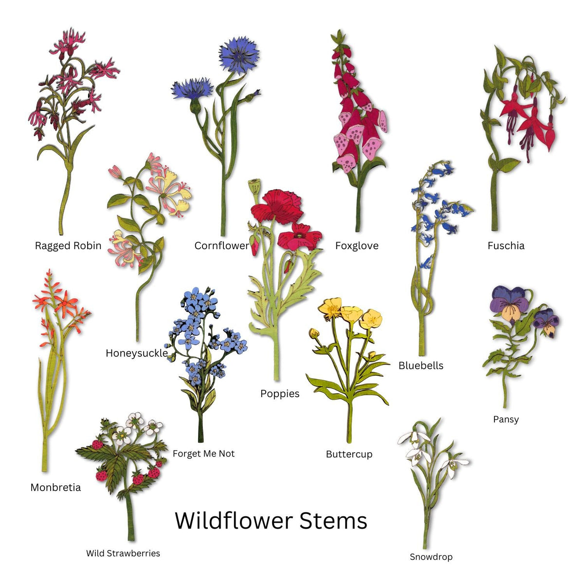 Wildflower Stems – Annabel Langrish